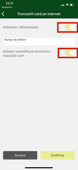 Plăți cu cardul pe internet